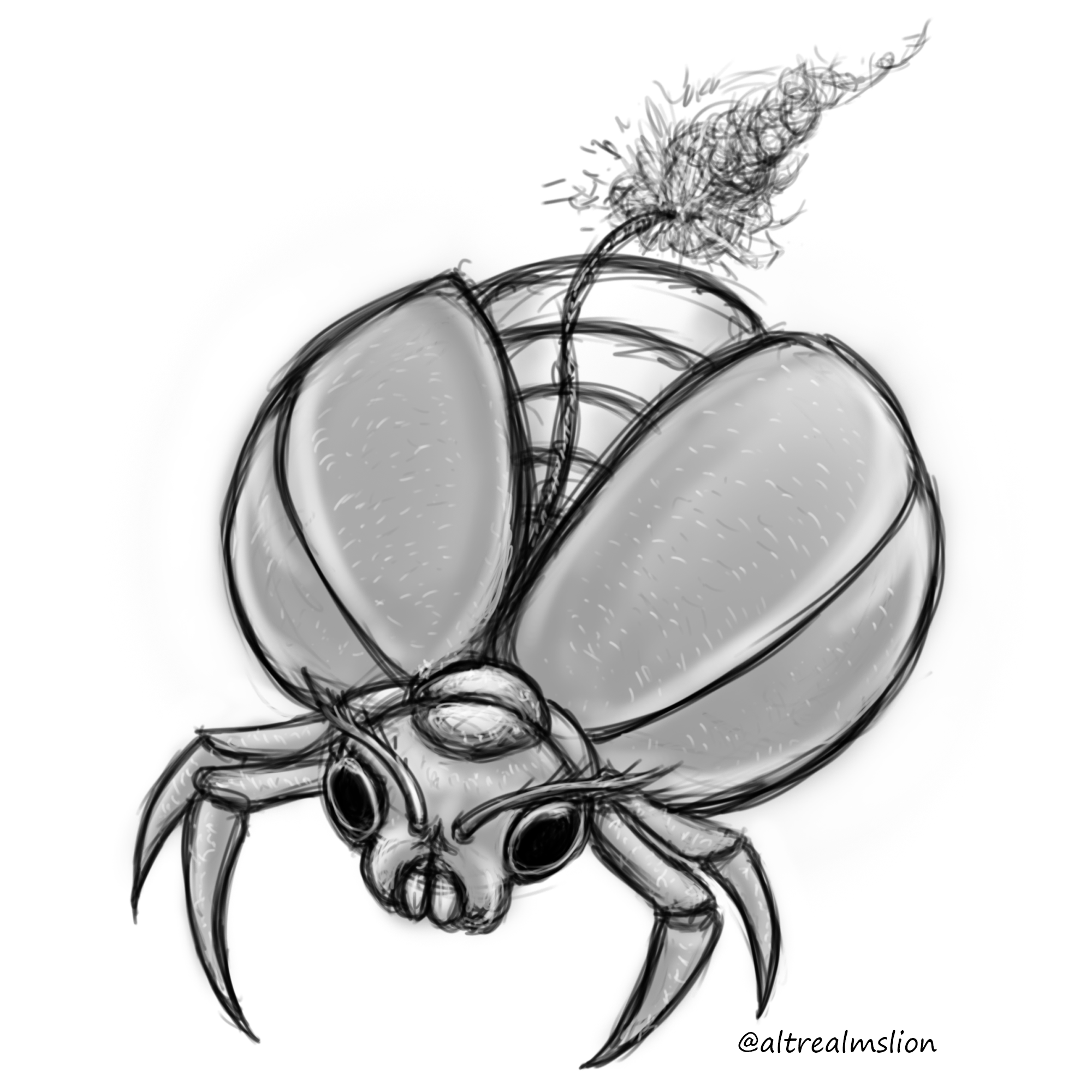 Bomb Beetle / Bomb Beetles